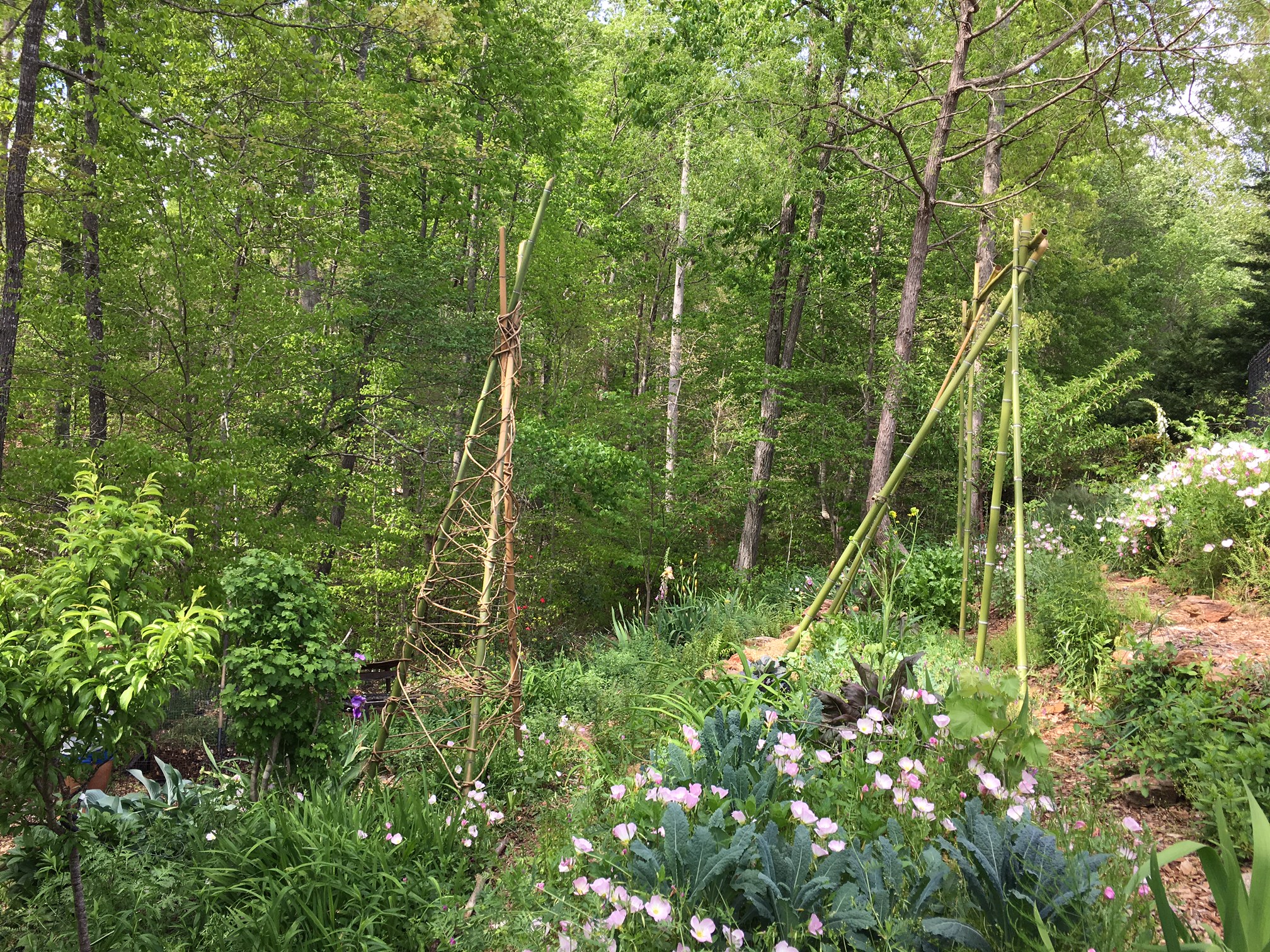 Edible Landscaping Made Easy: Design Theory and How to Get Started ...