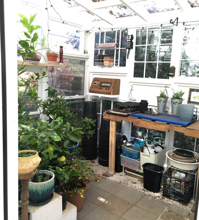 DIY: How to build your own hobby greenhouse affordably - GrowJourney
