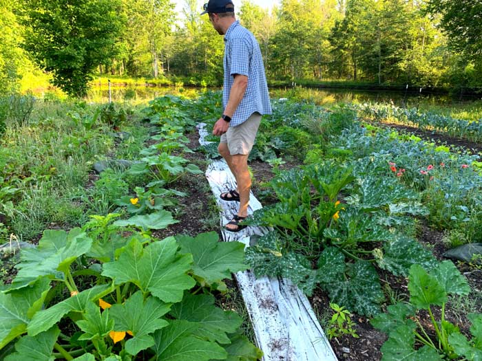 Small farm series intro: what is a small regenerative farm? - GrowJourney