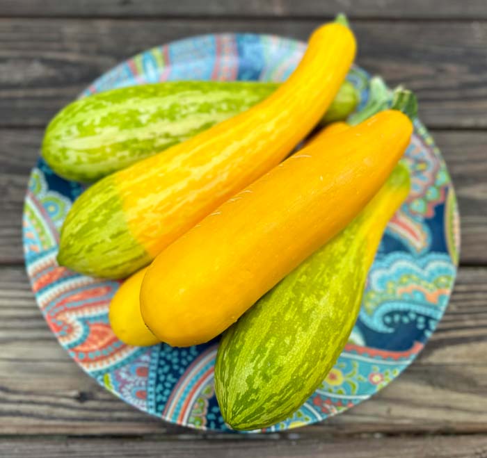 20 best recipes to use up lots of summer squash - GrowJourney
