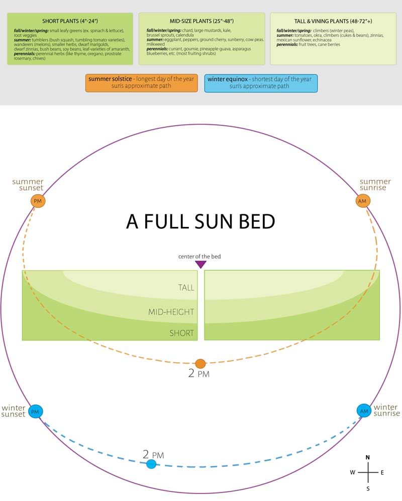 Garden Plans - planning your edible garden around sun and shade ...