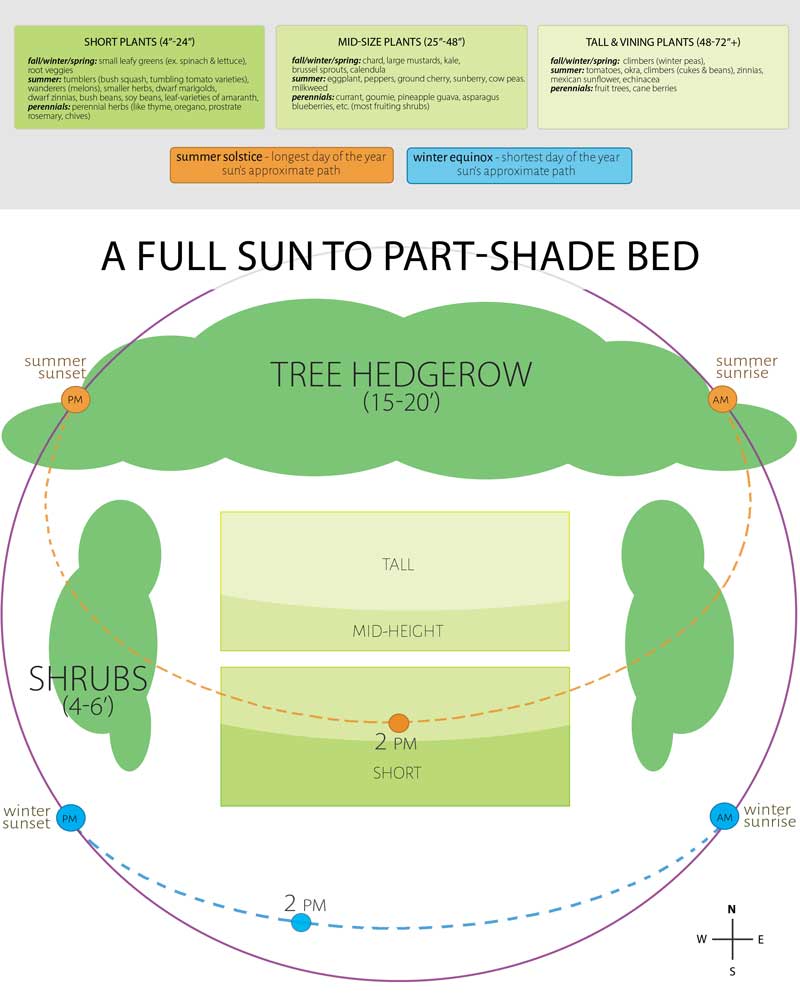 Garden Plans - planning your edible garden around sun and shade ...