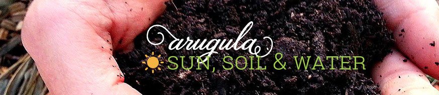 Gardening Guide: Arugula - GrowJourney