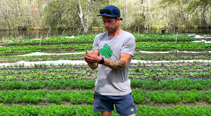 Should your small farm get certified organic? - GrowJourney