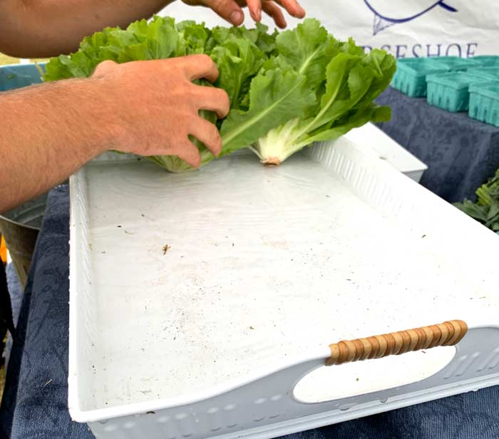 How to create the perfect farmers' market display - behind the scenes ...