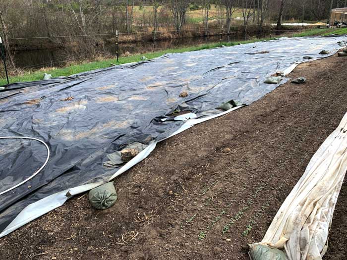 What tools and infrastructure does your small farm need to succeed ...