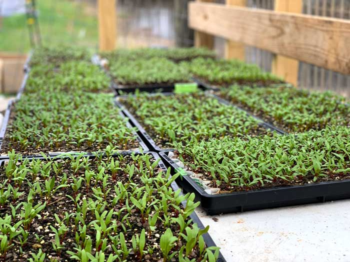 What tools and infrastructure does your small farm need to succeed ...