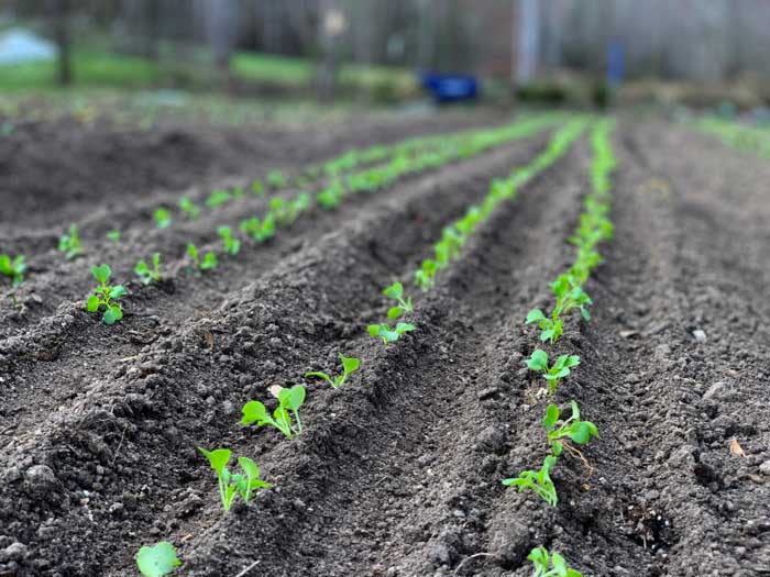 What tools and infrastructure does your small farm need to succeed ...